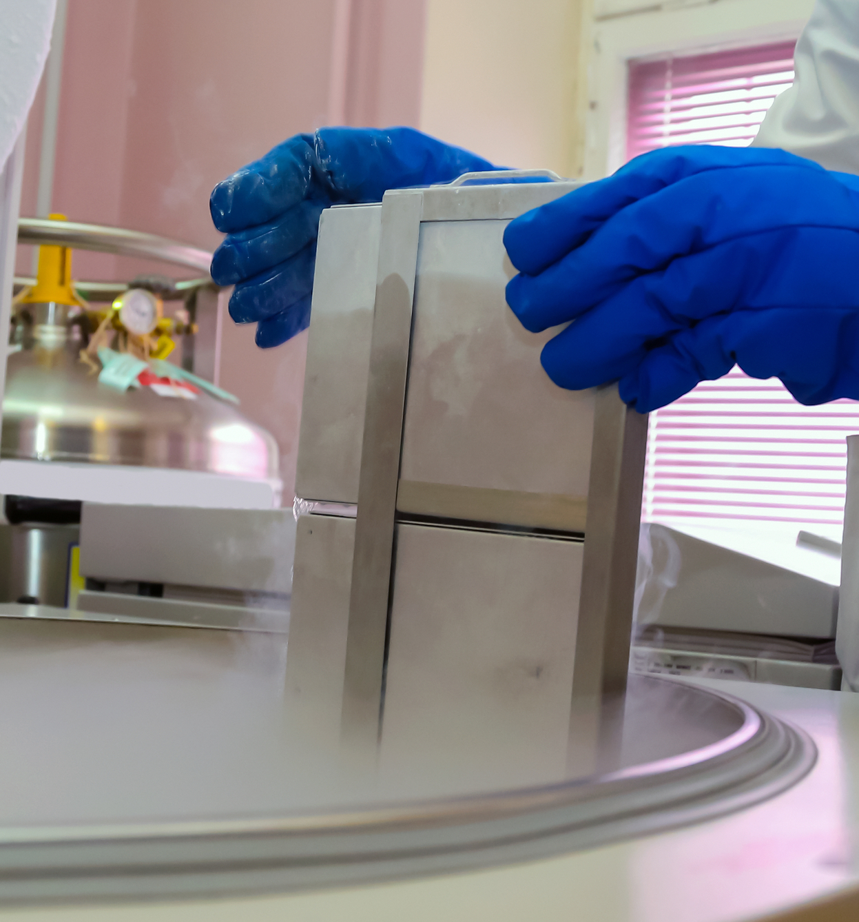 Boston Moving | Local, Long Distance, Lab Moving and Storage